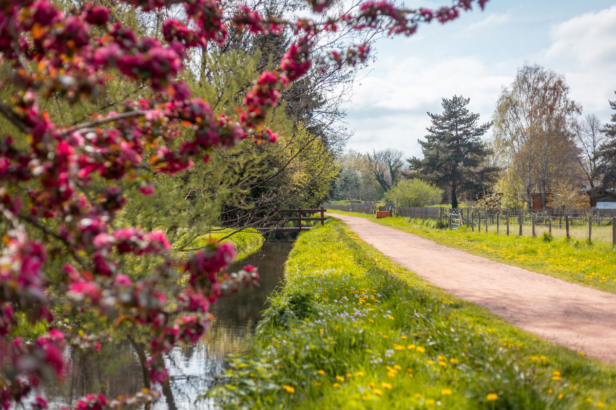 Parcs, jardins, squares, et points d'eau à Roanne | Site de Roannais ...