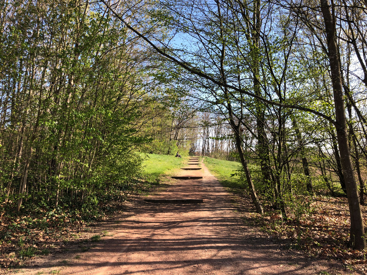 Parcs, jardins, squares, et points d'eau à Roanne | Site de Roannais ...