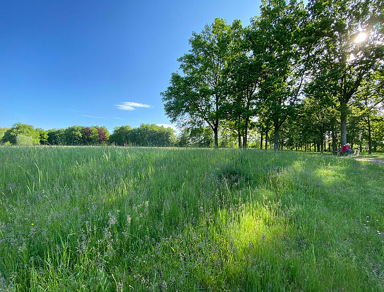 Parcs, jardins, squares, et points d'eau à Roanne | Site de Roannais ...